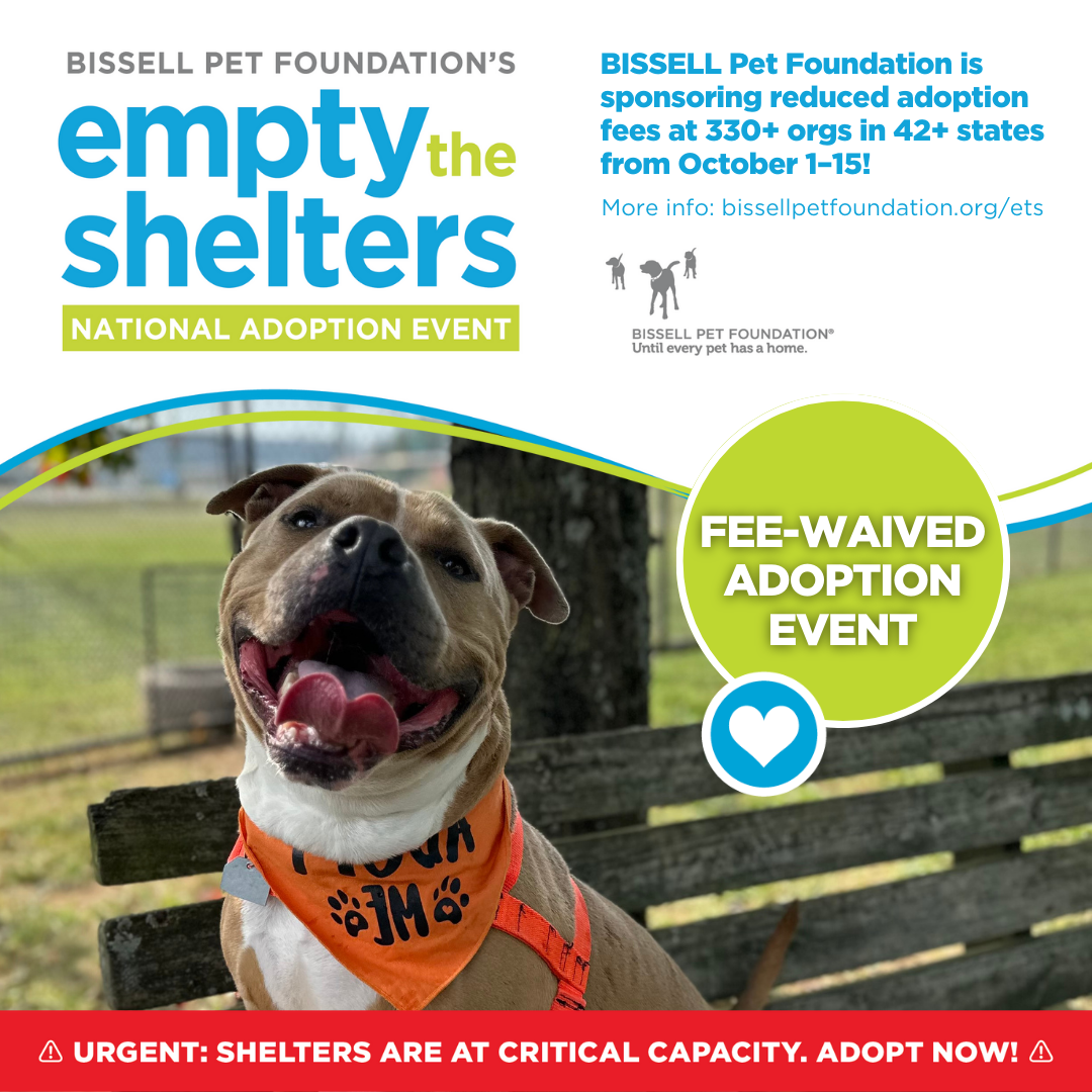 Fall 2023 ETS Social Graphic