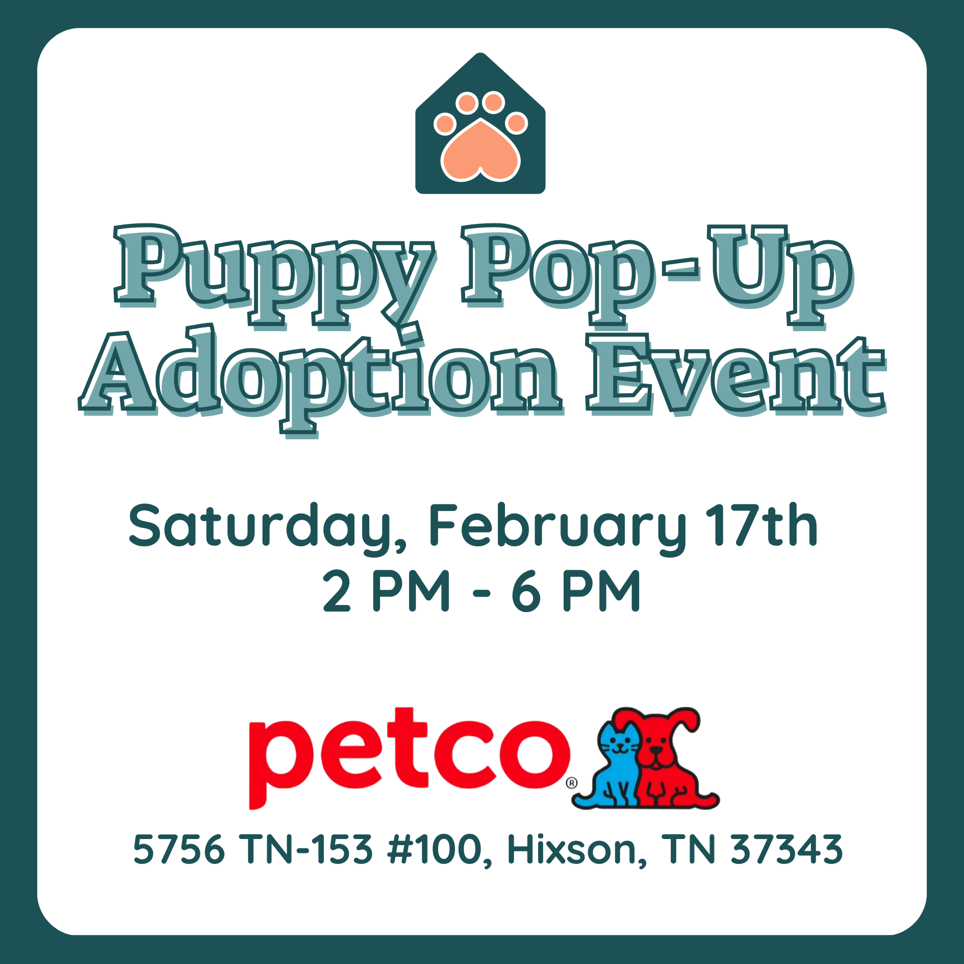 Puppy Pop-Up Event 217