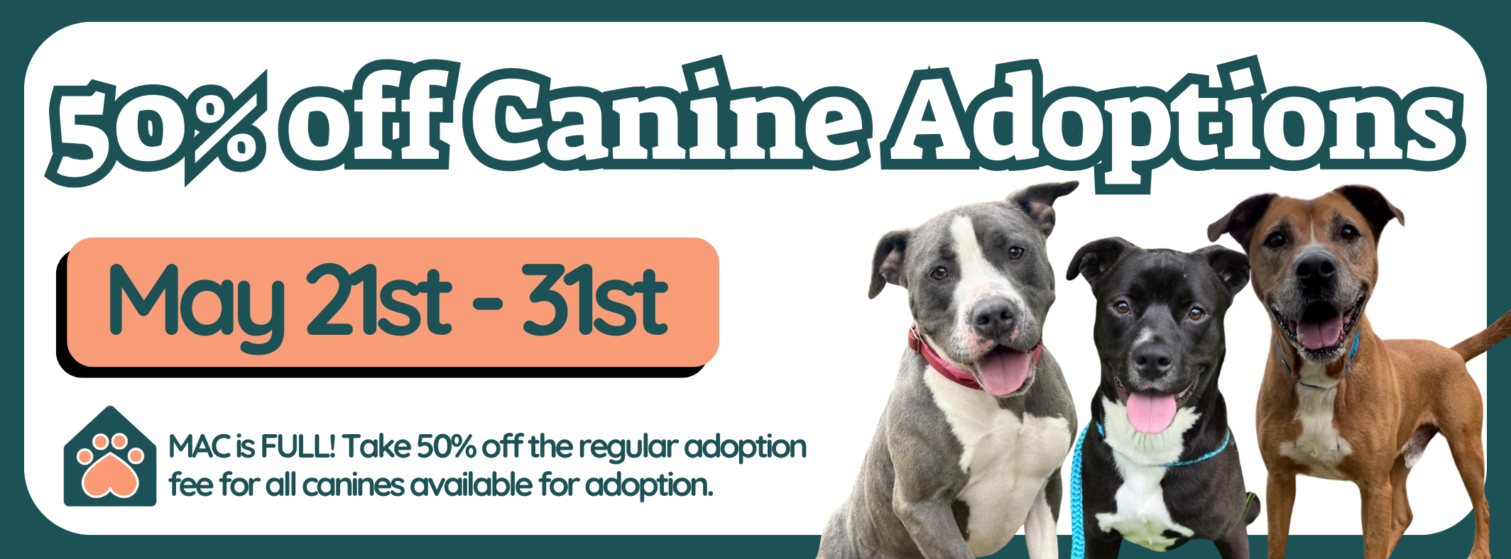 Puppy Pop-Up Event 217 (5)